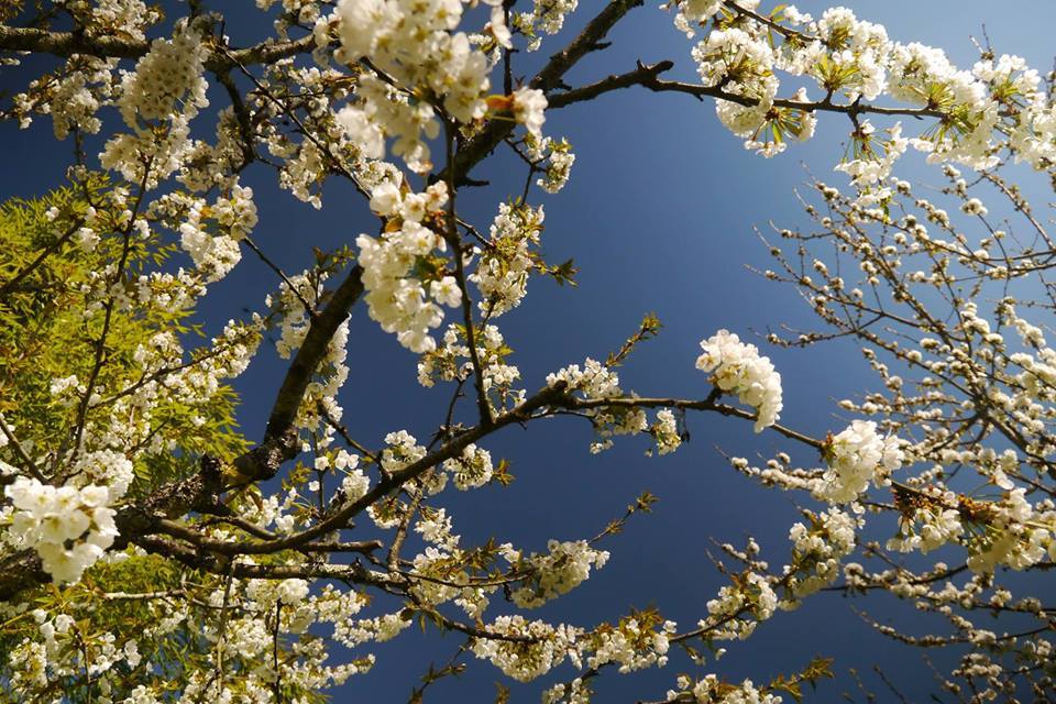 Be Calm, Be Happy – A 6 Week Course in Mindfulness – Newport-on-Tay ...